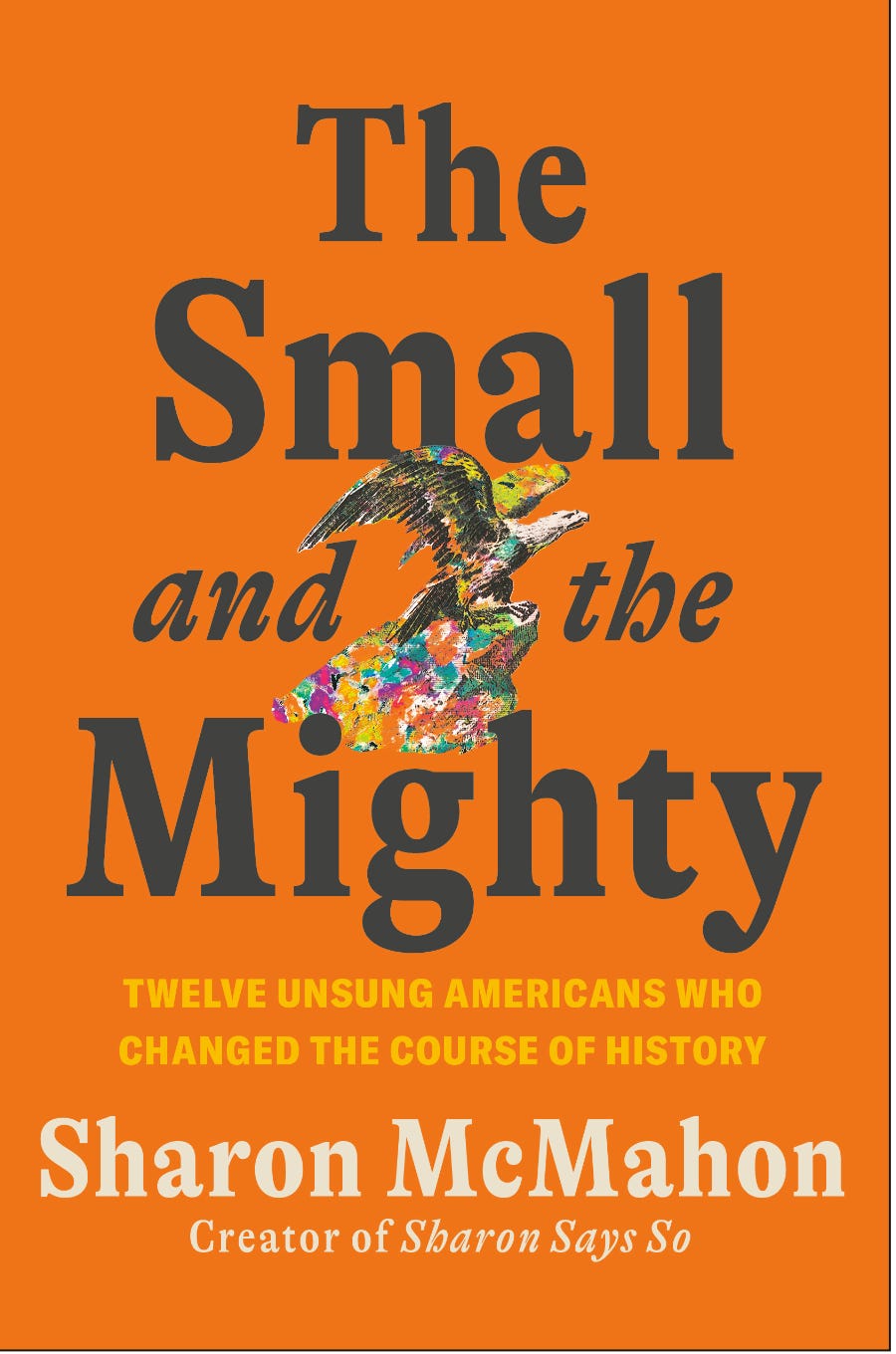 My Rejected Book Covers - by Sharon McMahon - The Preamble