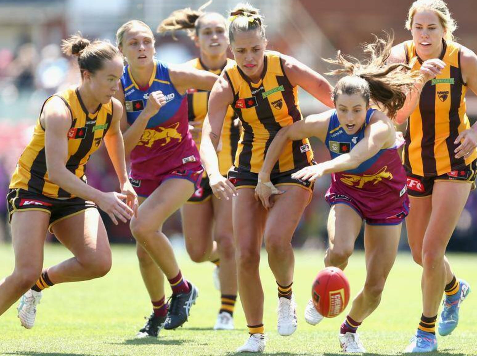 Brisbane defeat has the Lions feeling a million bucks