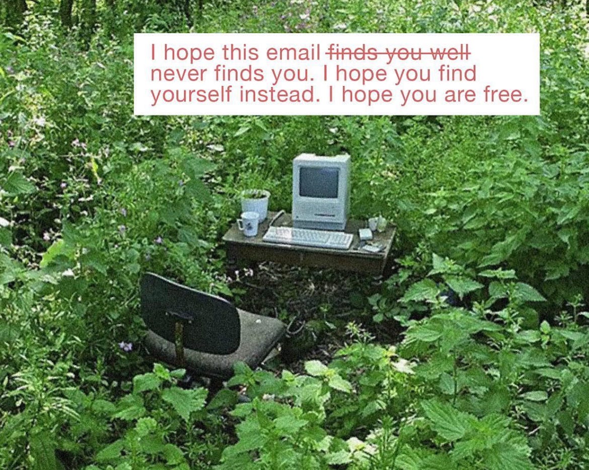 gorging myself on a dream - by allie wisniewski