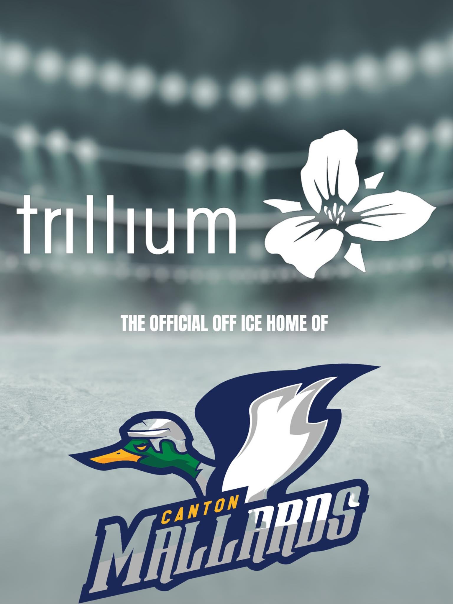 THE CANTON MALLARDS NEWSLETTER #4 - by Canton Mallards