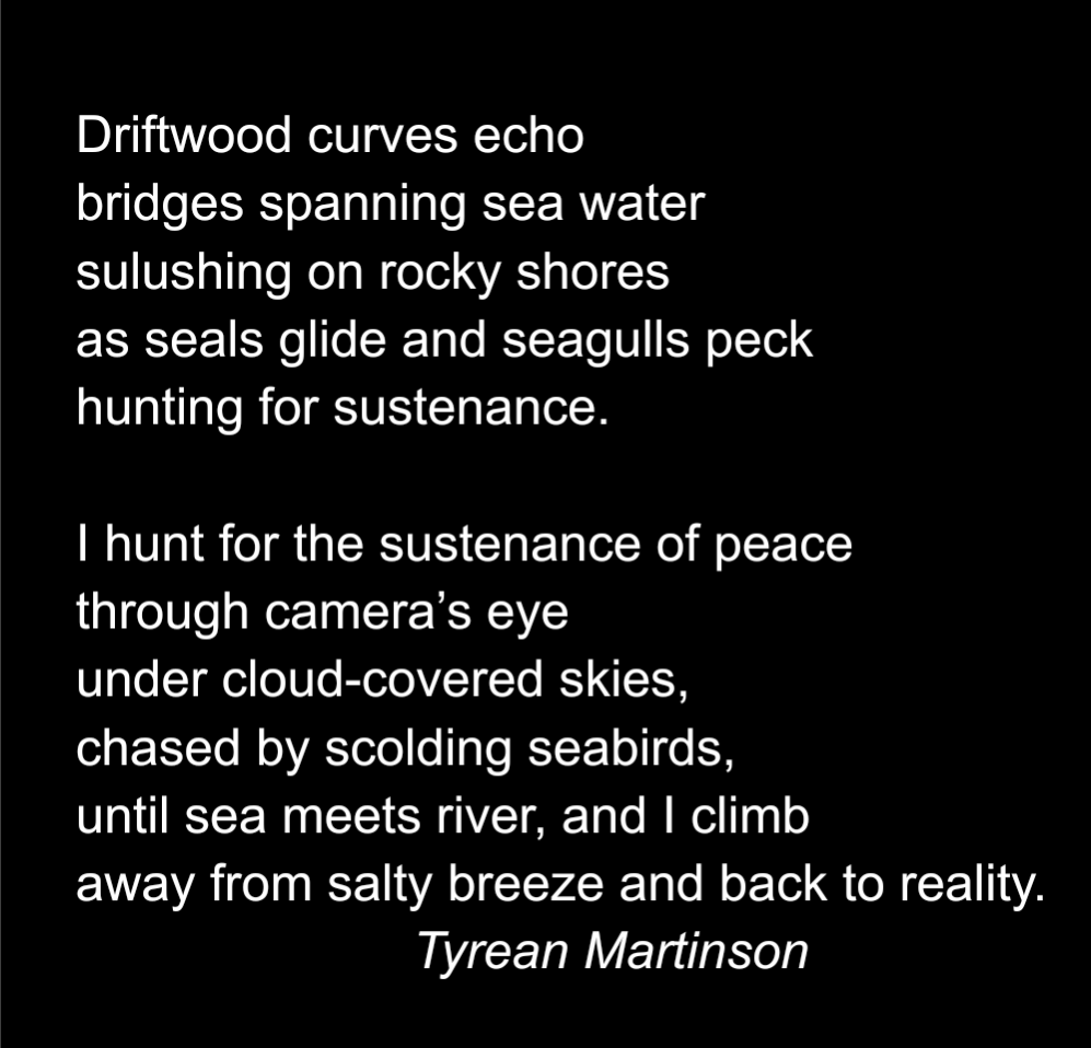 Poems Here and There - Tyrean Martinson, Author