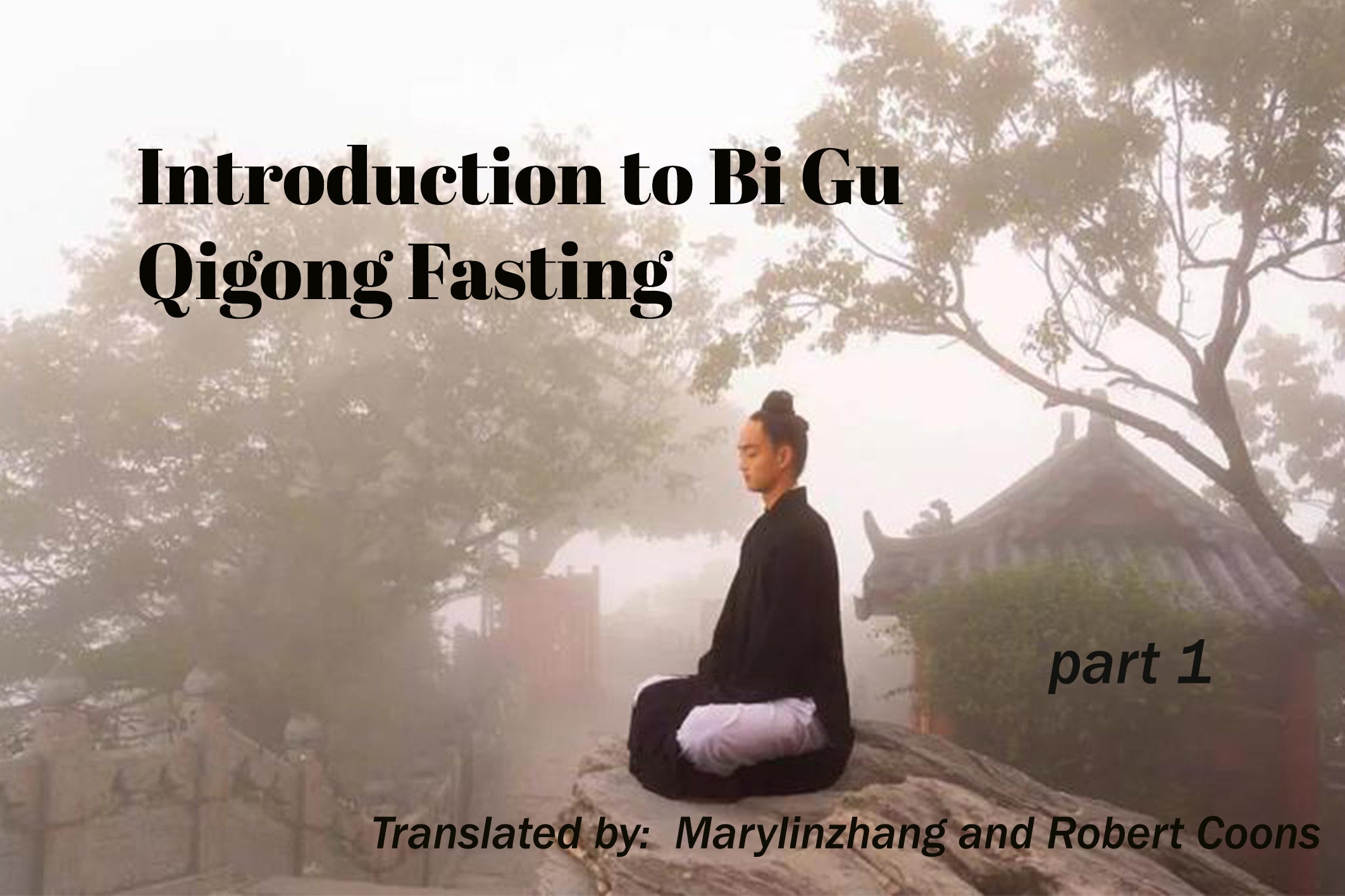 Introduction to Bi Gu