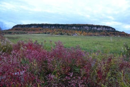 PERL, CORE and Burlington City Council call on Ford to deny expansion ...