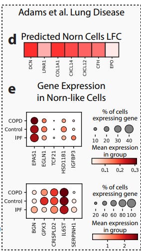 A primer on scRNA-seq foundation models - by Abhishaike A primer on scRNA-seq foundation models - by Abhishaike