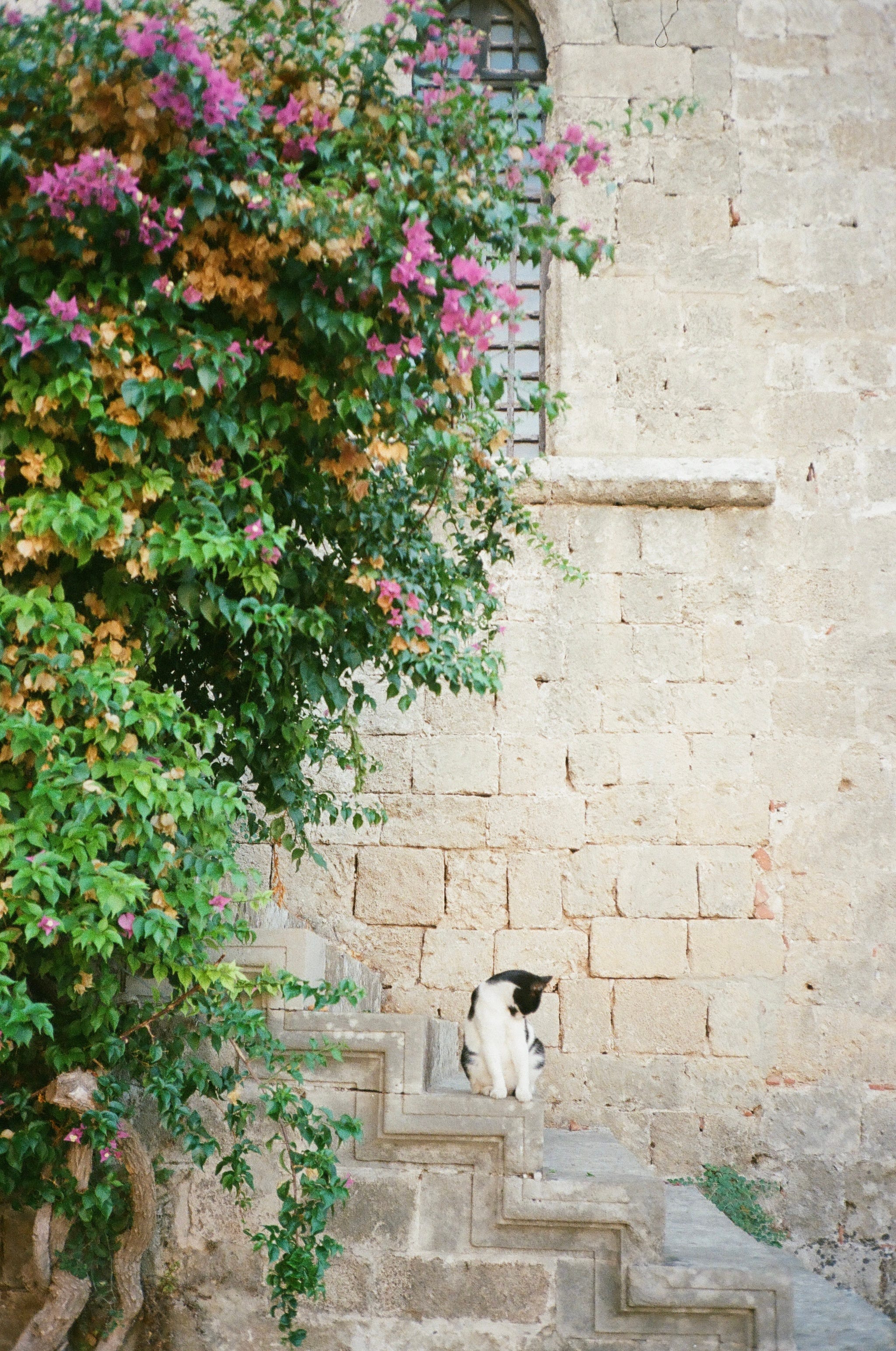 Tracing the harm - by Julia Bedell - vessels