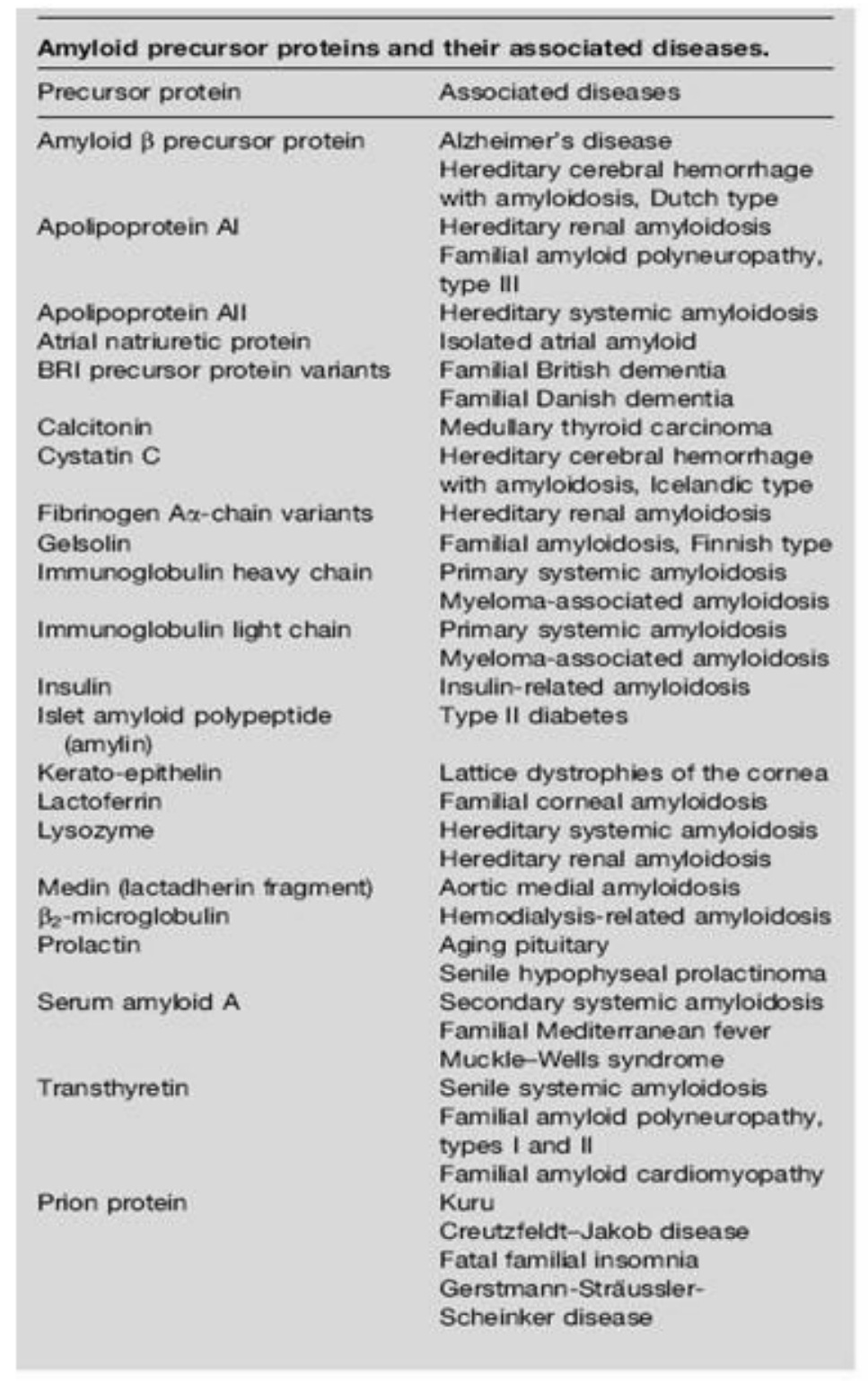 Rapid Amyloidosis: The Kinetic Viewpoint: Sudden Death and Diabetes