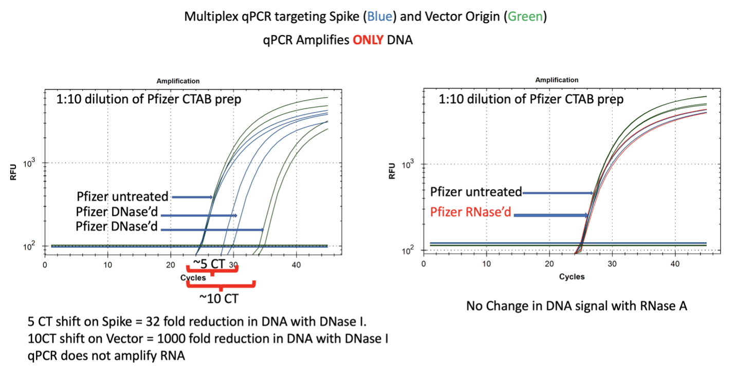 Sequencing of bivalent Moderna and Pfizer mRNA vaccines reveals ...