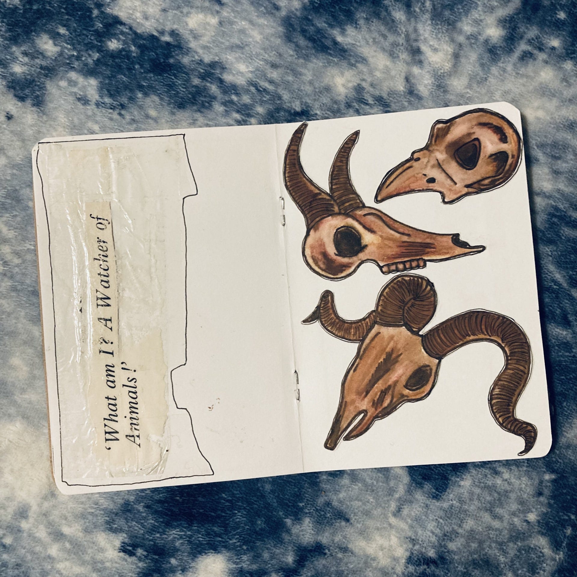 Sketchbook 1 - DelicateDoom’s Substack