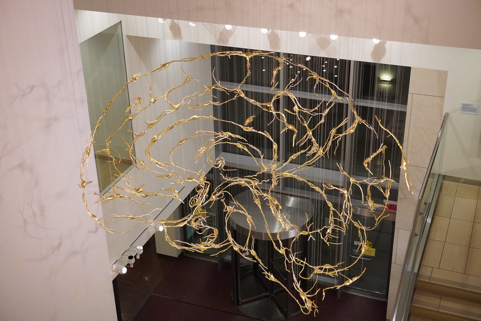 NeurAlbertaTech Collaboration: MIT BCI Hack