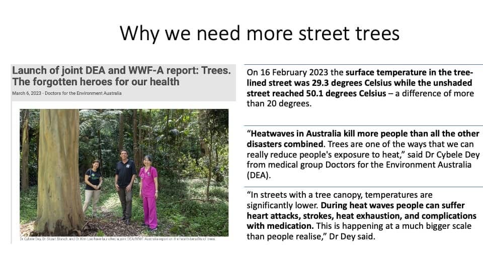 Why street trees and why native verge gardens