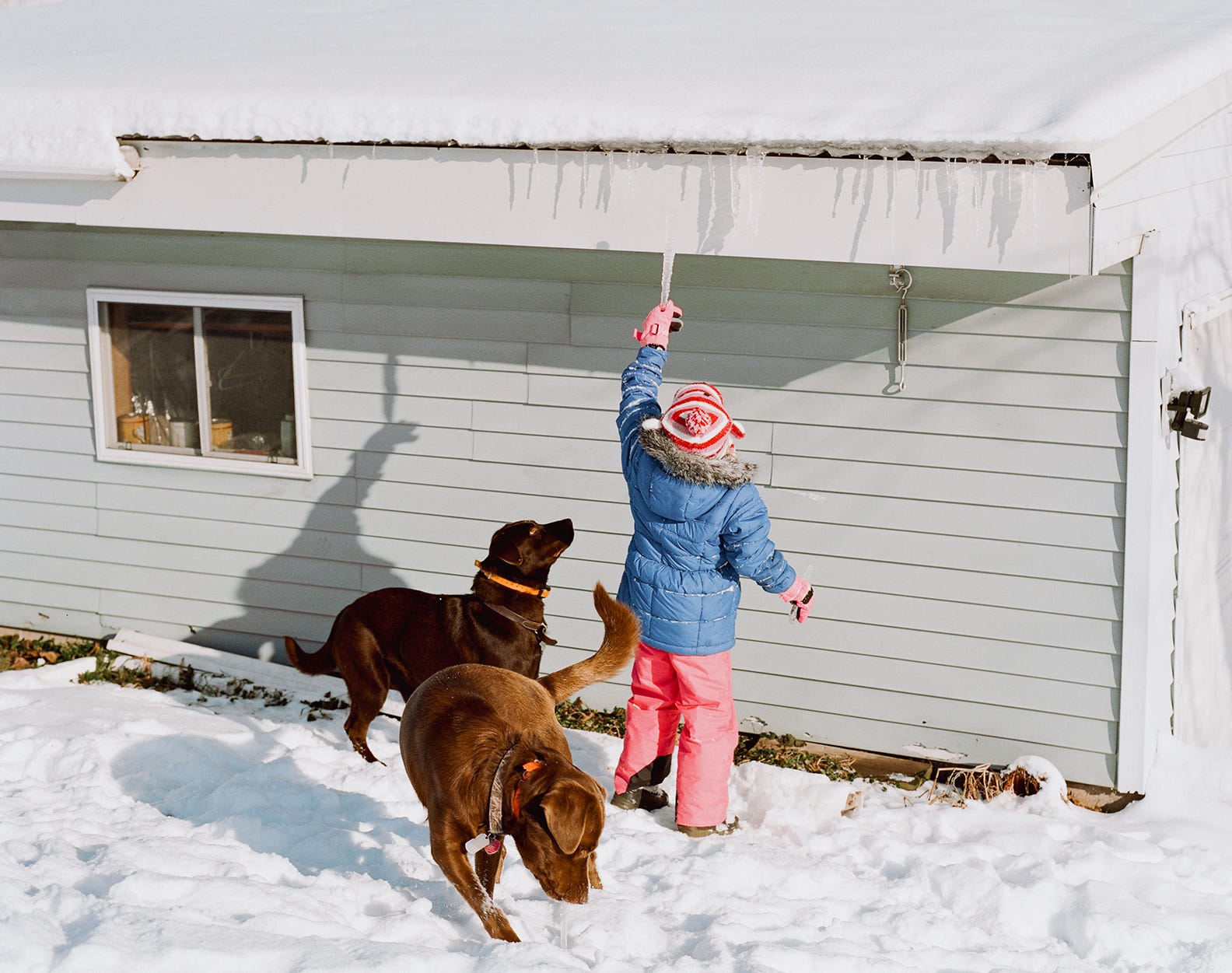 ️ Ten Winter Pictures (and a seasonal zine)