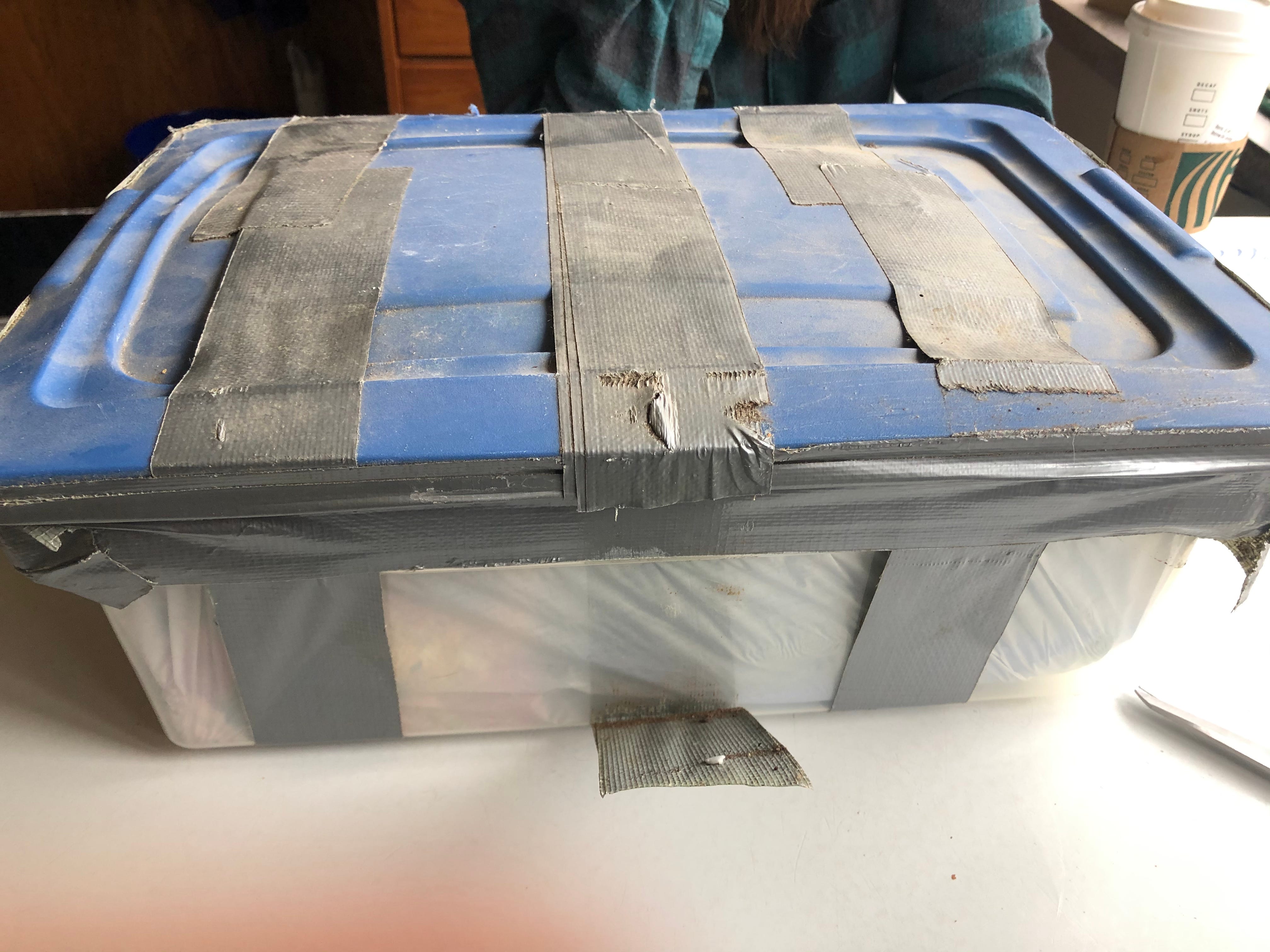 Happy New Year from a Late Blooming Writer - by Deb Sinness