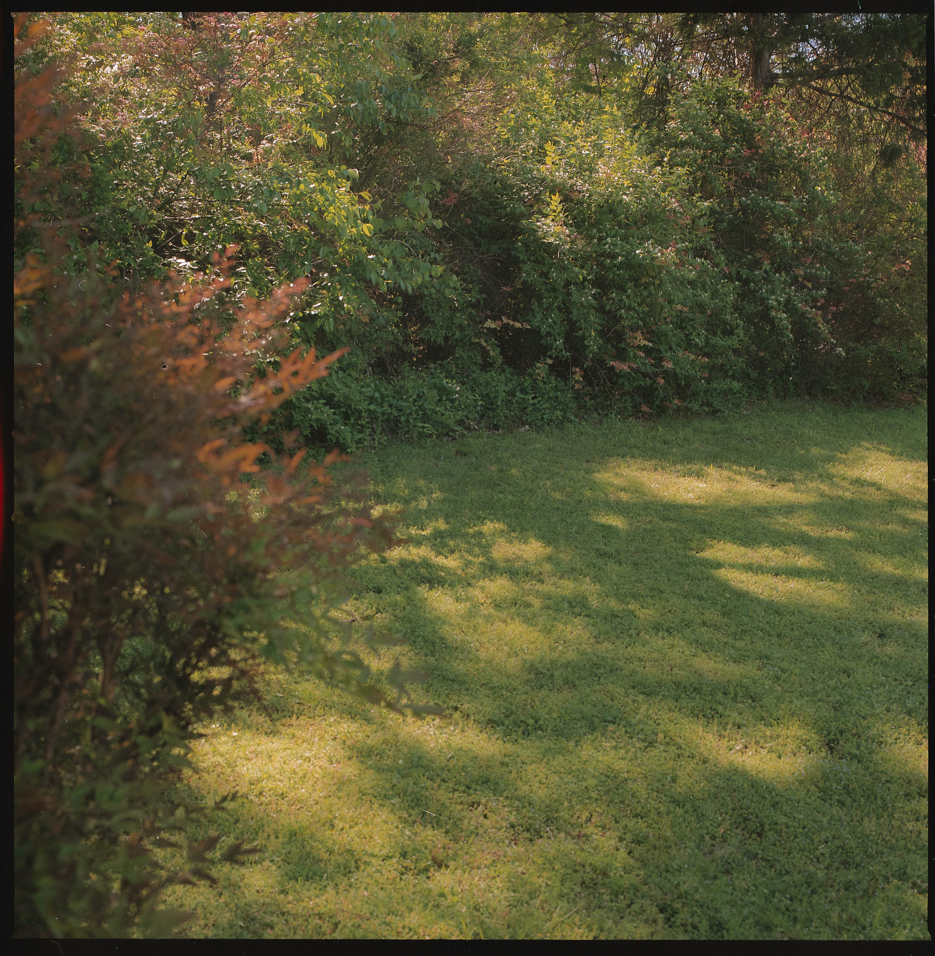 Year's end - by Camille Delaune - Camille’s Substack