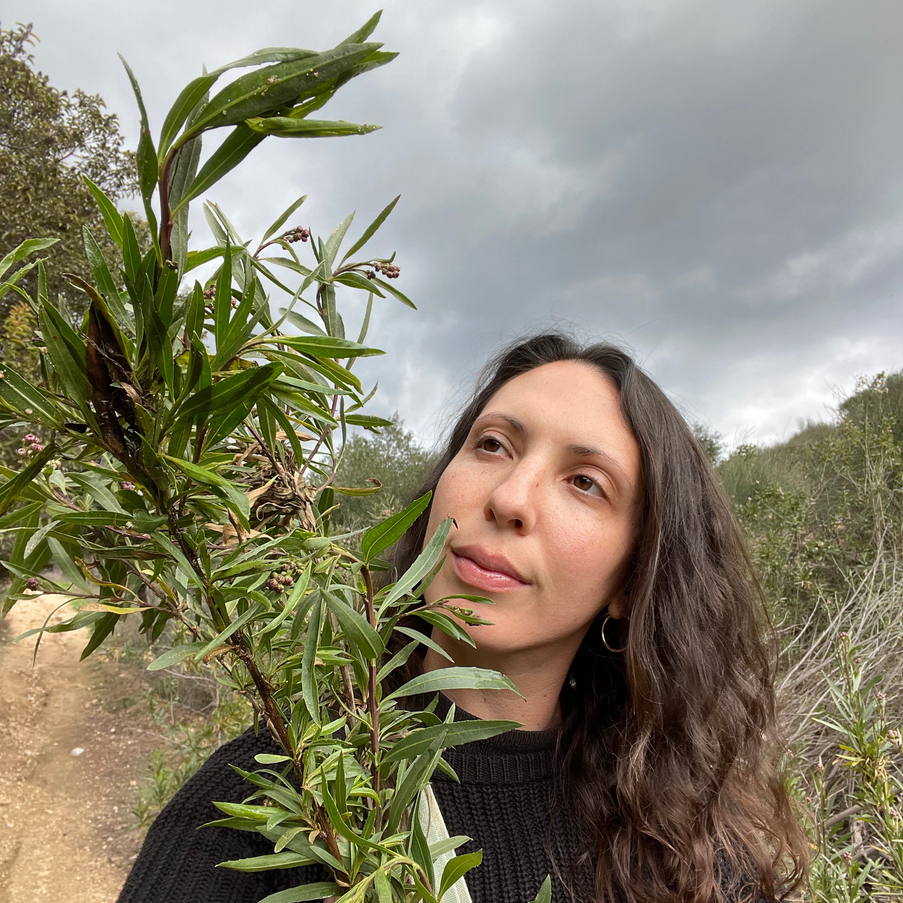 Erin ꩜ Berbo Studio | Substack