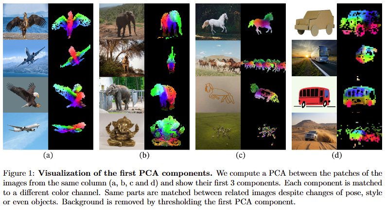 Learning Robust Visual Features For Object Understanding