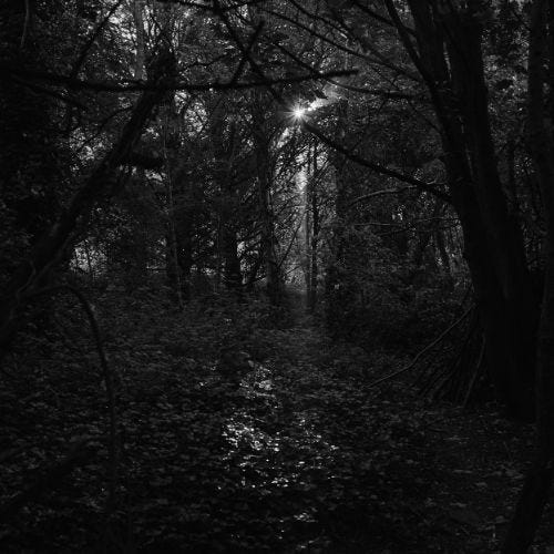 Tales & Treasure Chapter 15 - by Rob Mortell