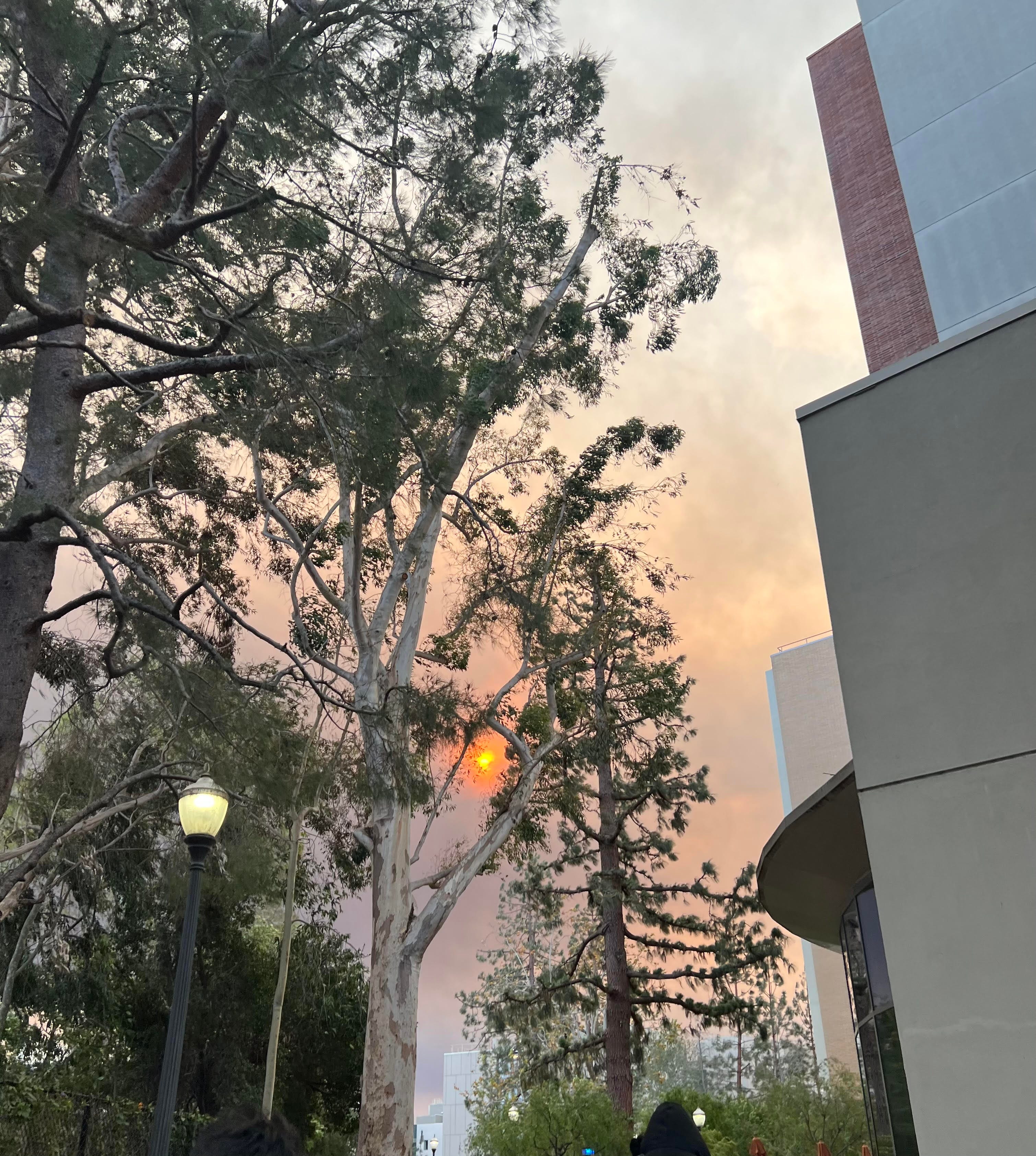 Burning Ashes - Emily’s Substack