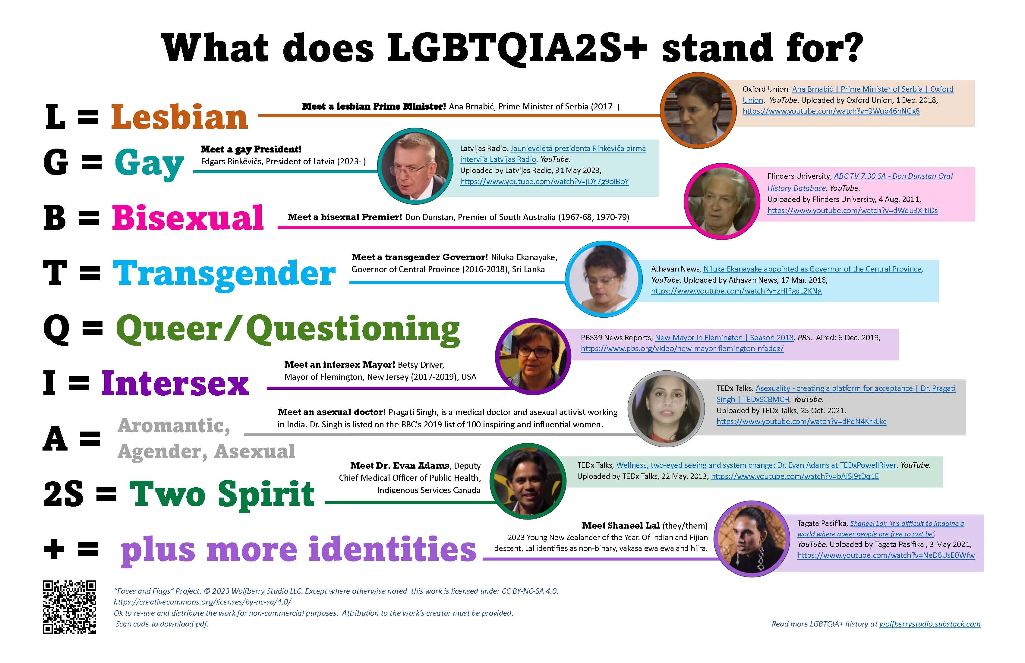 What does the LGBTQIA2S+ acronym stand for?