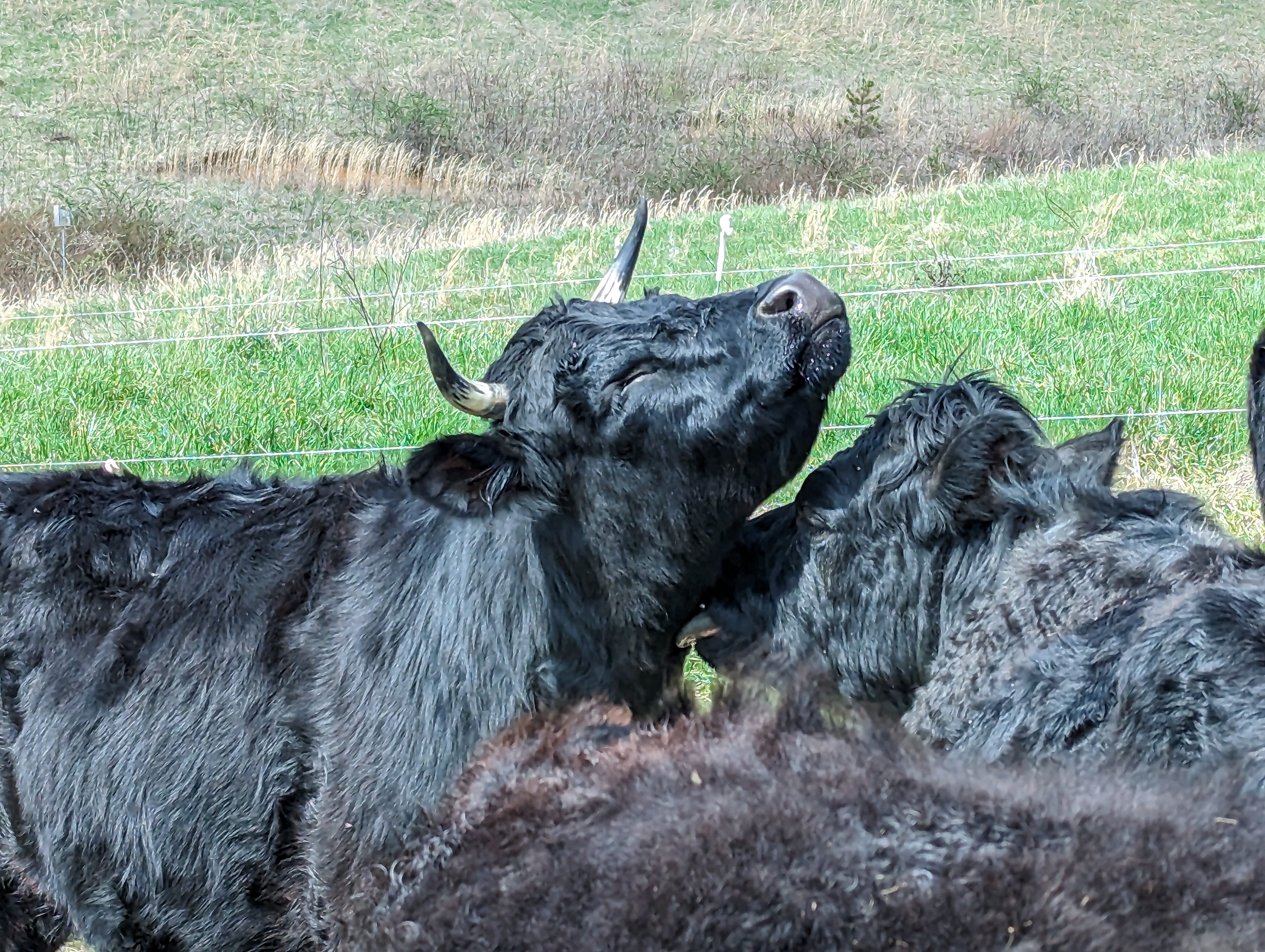 Welcome To The Peep Show - by AC Shilton