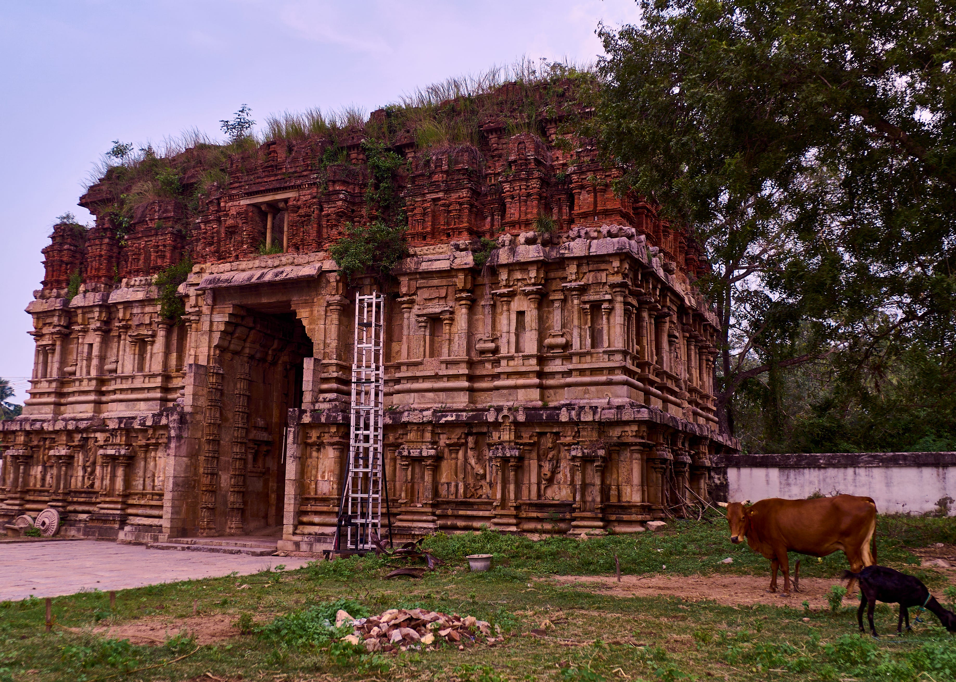 Exploring the Rich Heritage of Koneri Rajapuram and Pazhayårai Temples