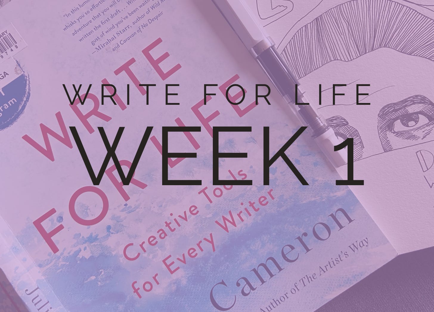 Write for Life / Week 1 (digging in) - by Amy Cowen
