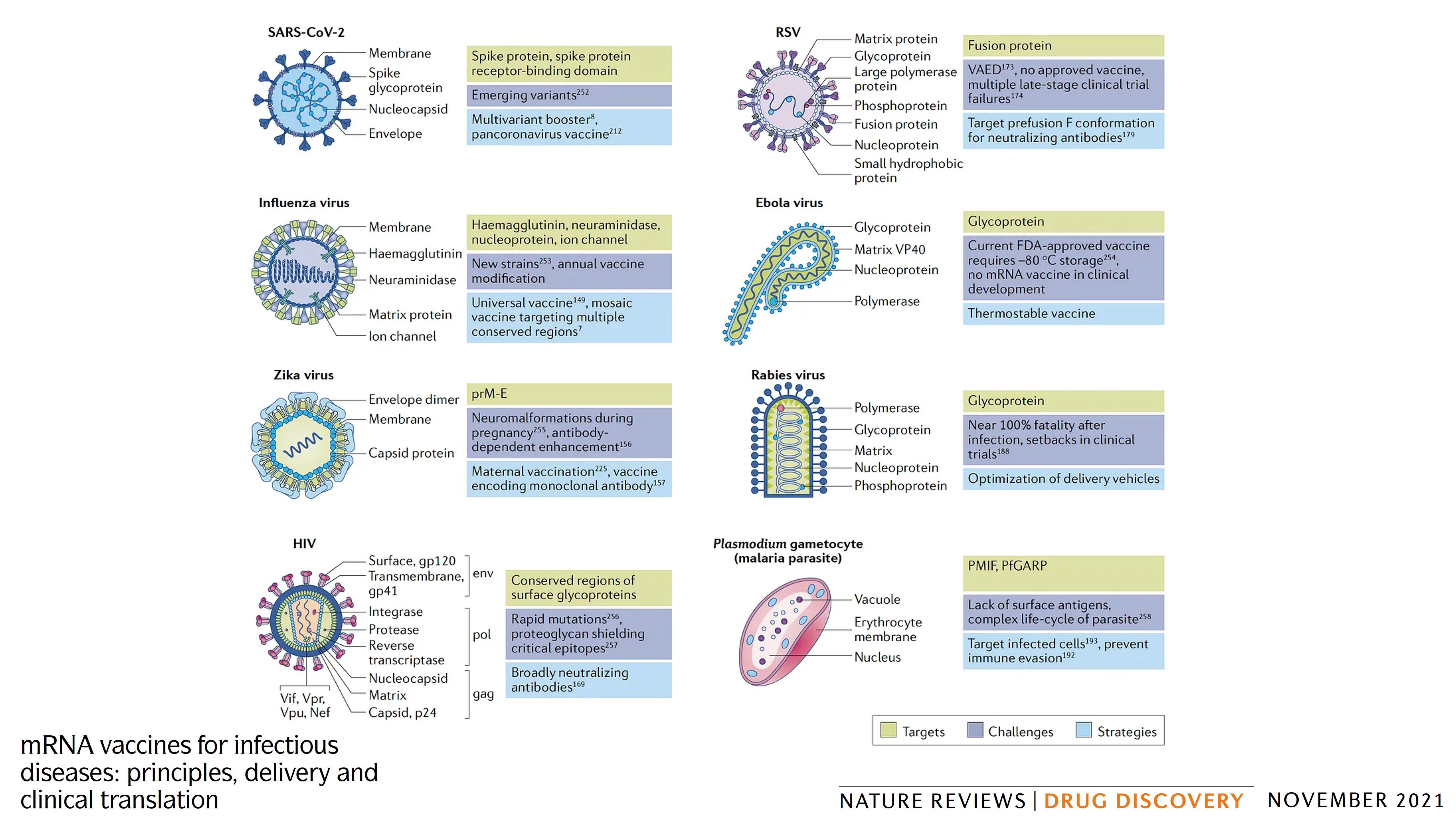 Why the new RSV vaccines are a BFD - by Eric Topol