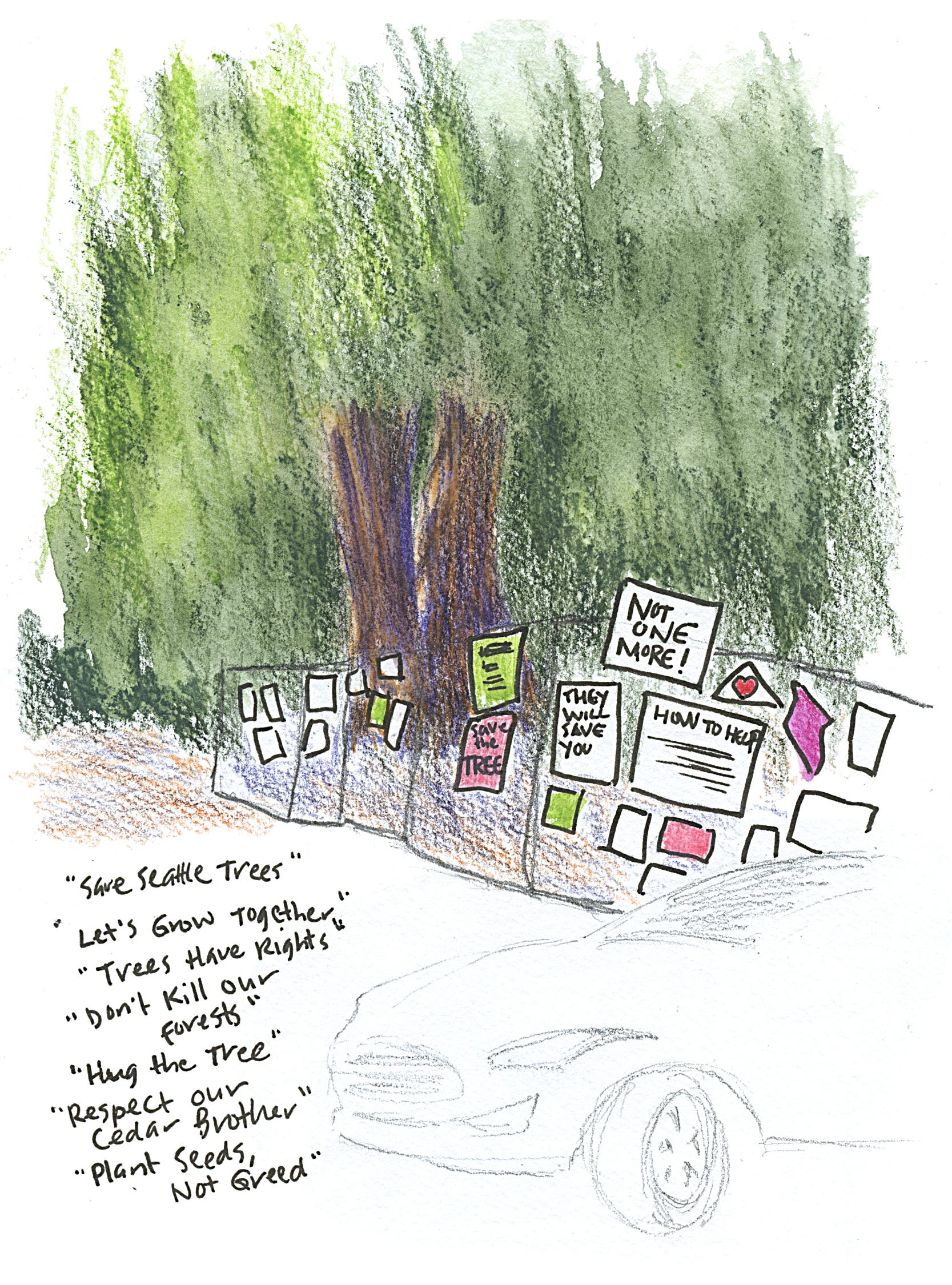 Saving Luma - by Tina Koyama - On the Spot