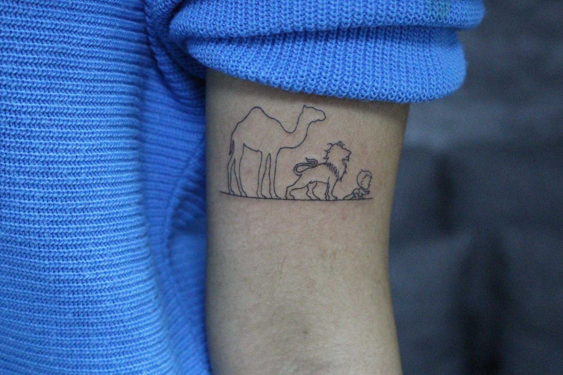 The Camel, the Lion, and the Child - by Mark B Matthews