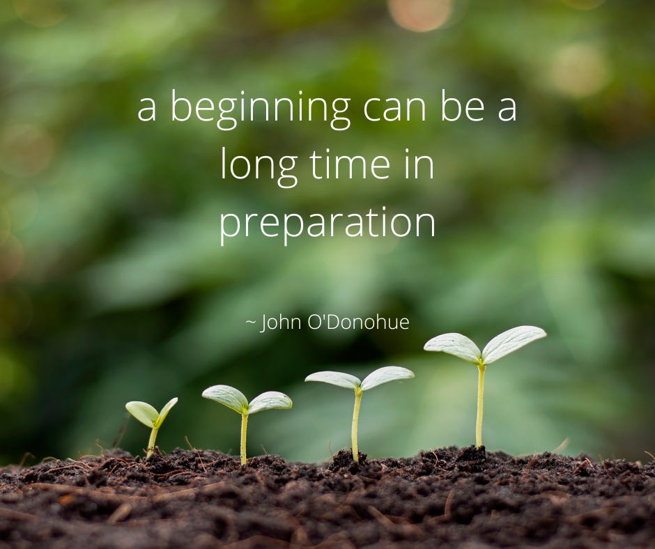 Imbolc, Exploration & Experience - by Jan Blencowe