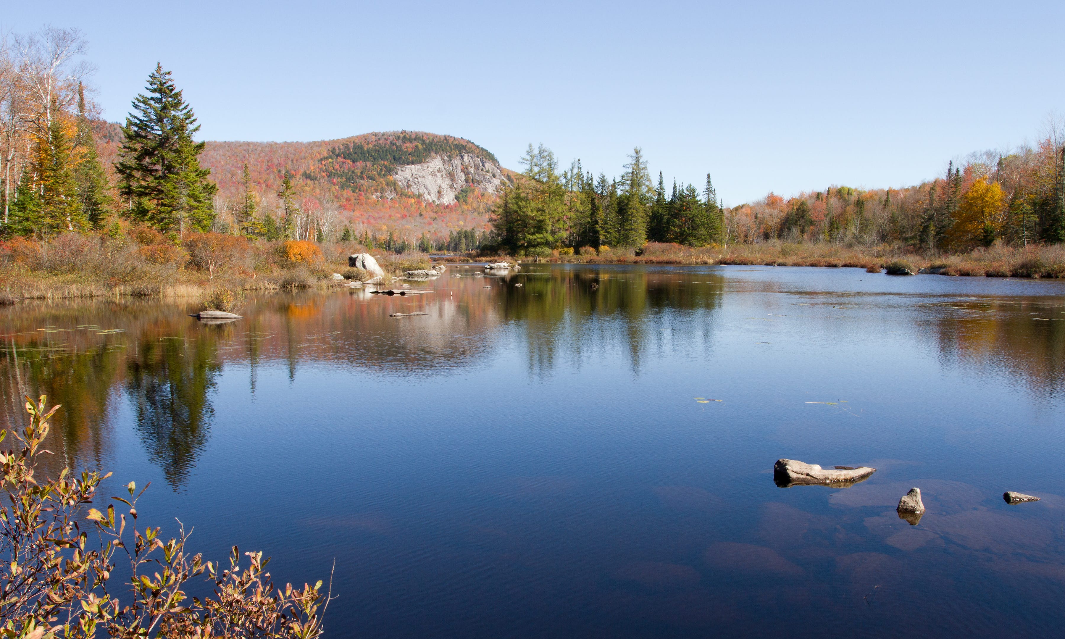 THE CHASING NATURE ADVENTURE - by Bryan Pfeiffer
