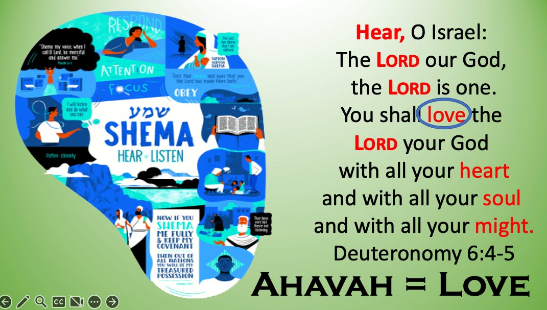 Shema: Love & Care Packages! - by Liz Clayton