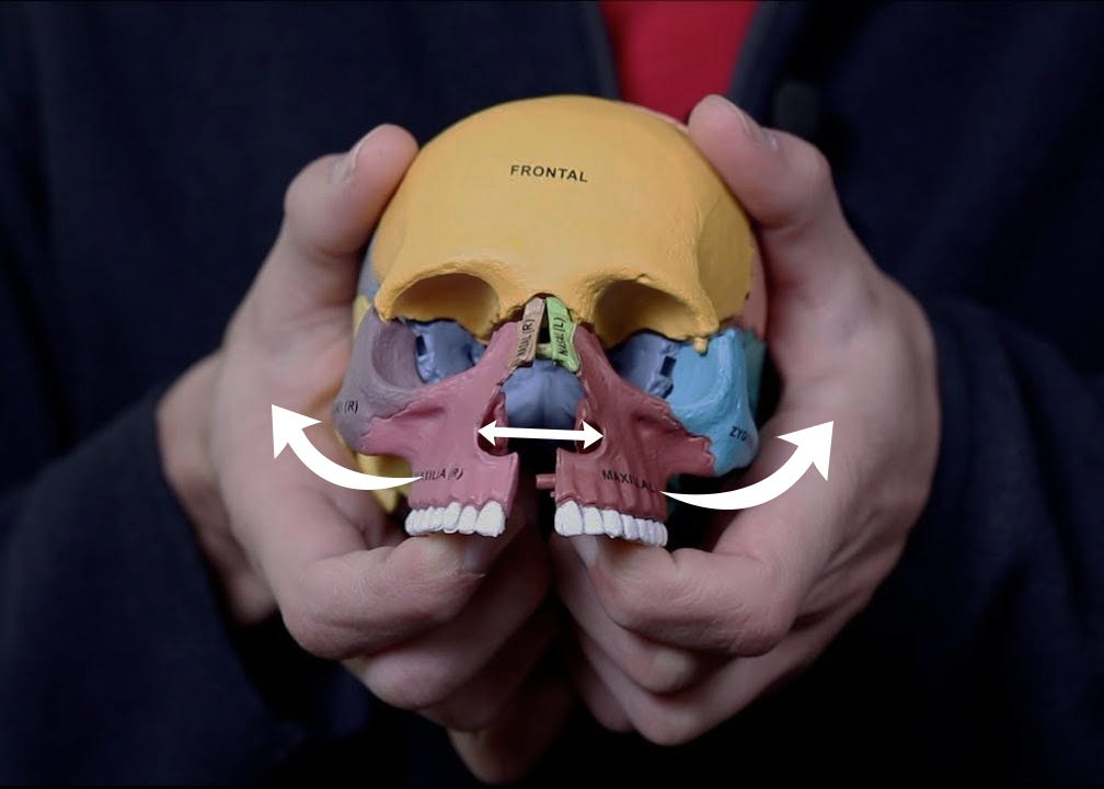 1.2 What Makes a Face Attractive? - by Ronald Ead