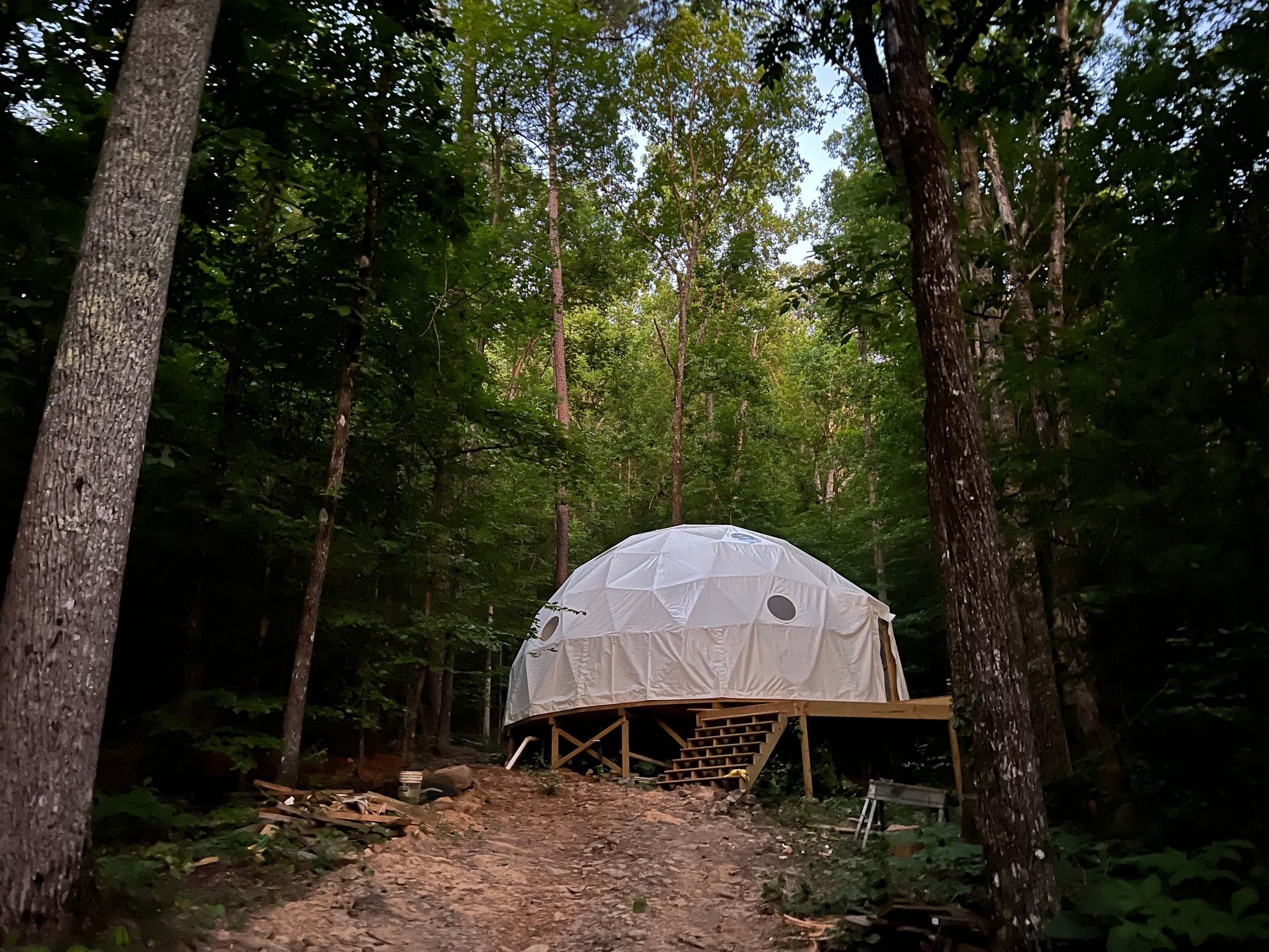 Life Lately at Nudist Mountain - by Tanya Twerdowsky