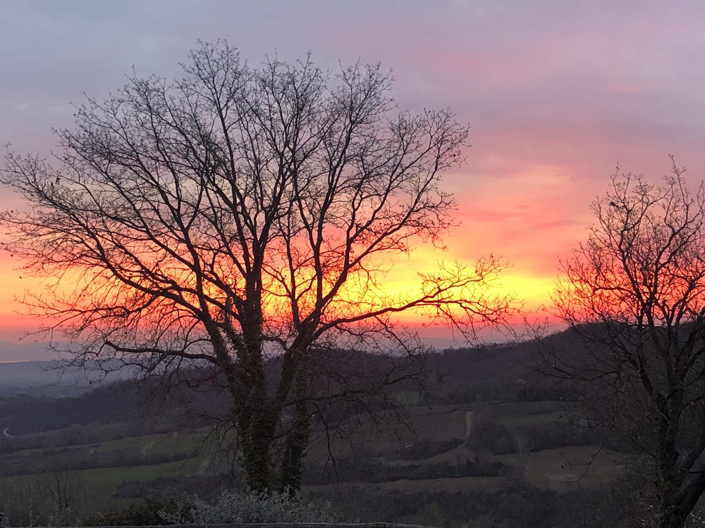 Make way for Spring! - by Paari & Niall