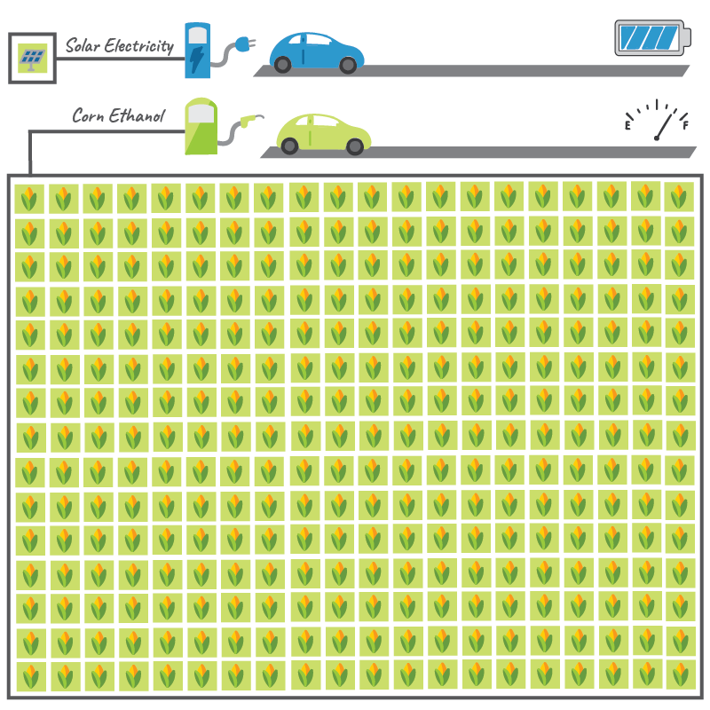 Biomass Overview - by Steve Newman - Climateer