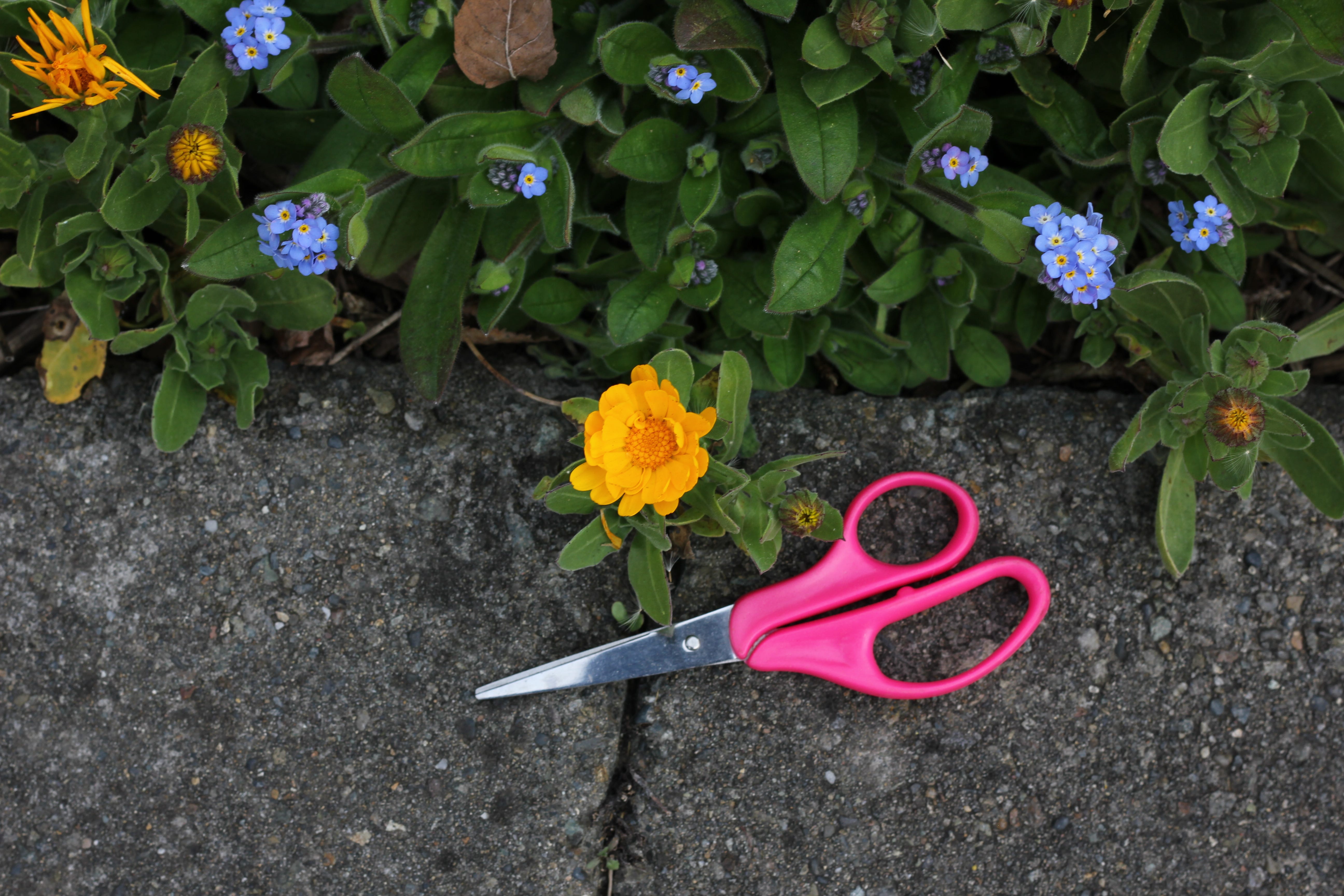 Intimate Patterns - by Jeffrey Morel - Foraging for More