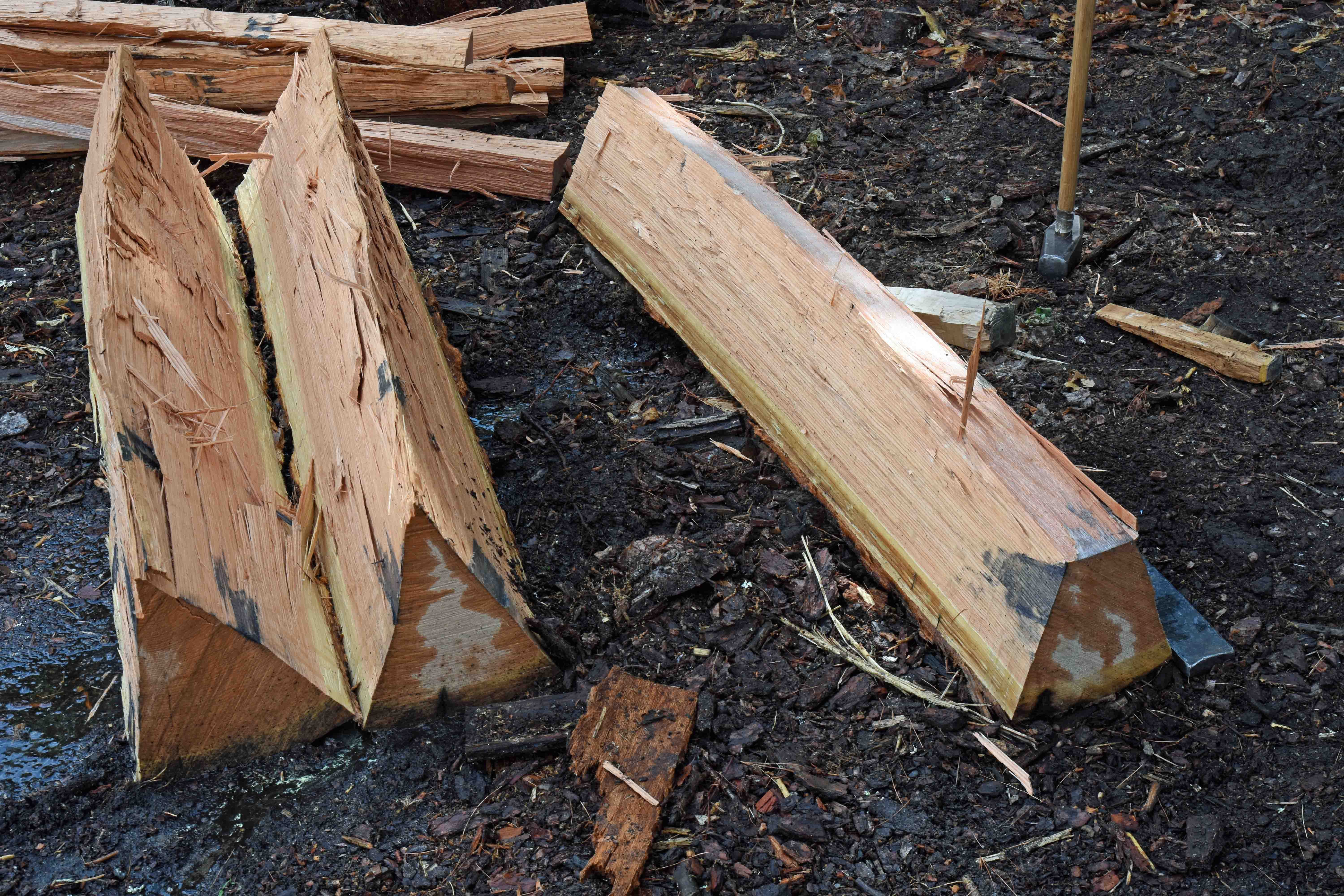 New oak log - by Peter Follansbee - Follansbee's Substack