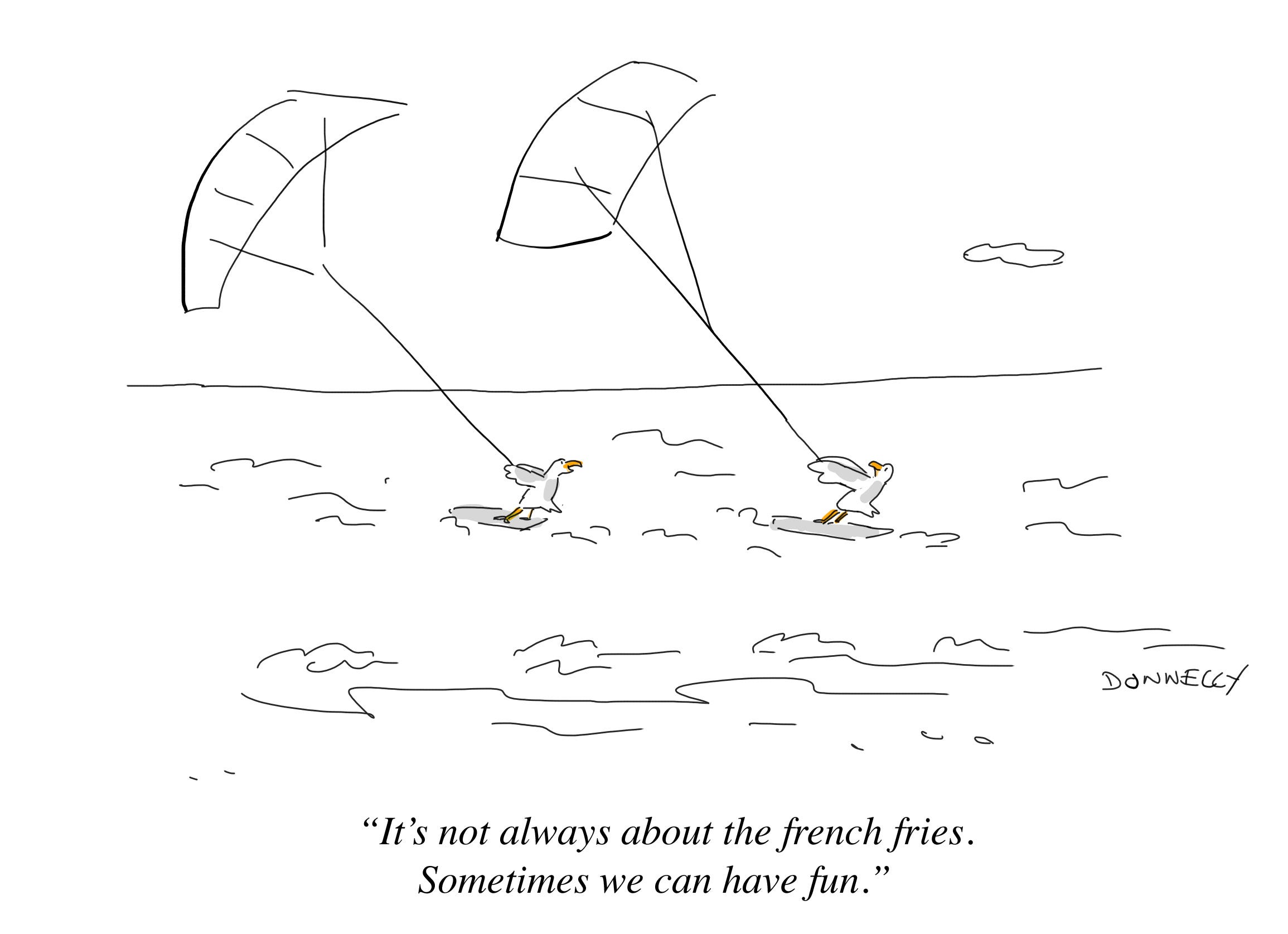 What Do You Call Fun? - by Liza Donnelly - Seeing Things