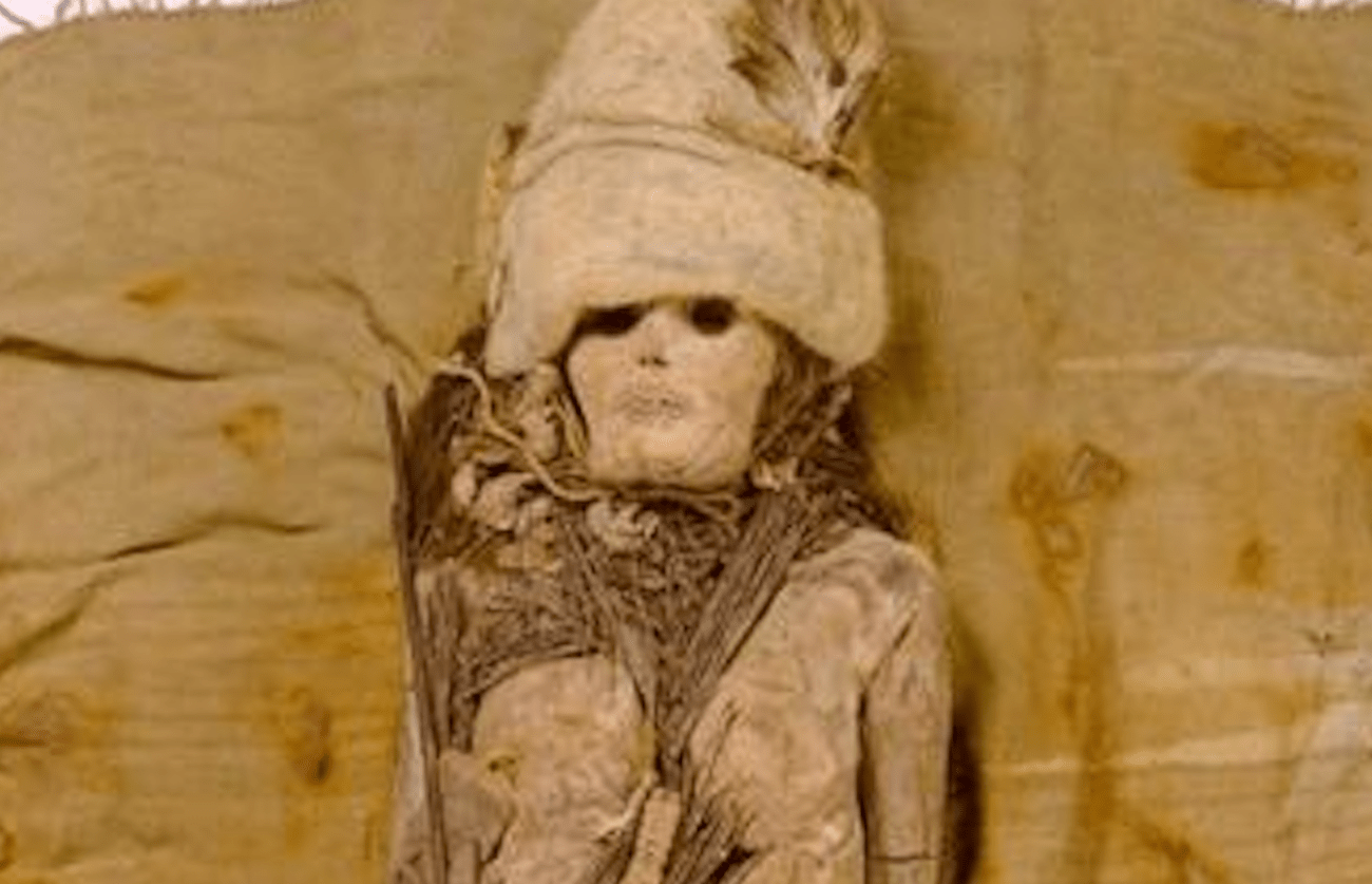 Scientists discover oldest cheese in the world buried with mummies as ...