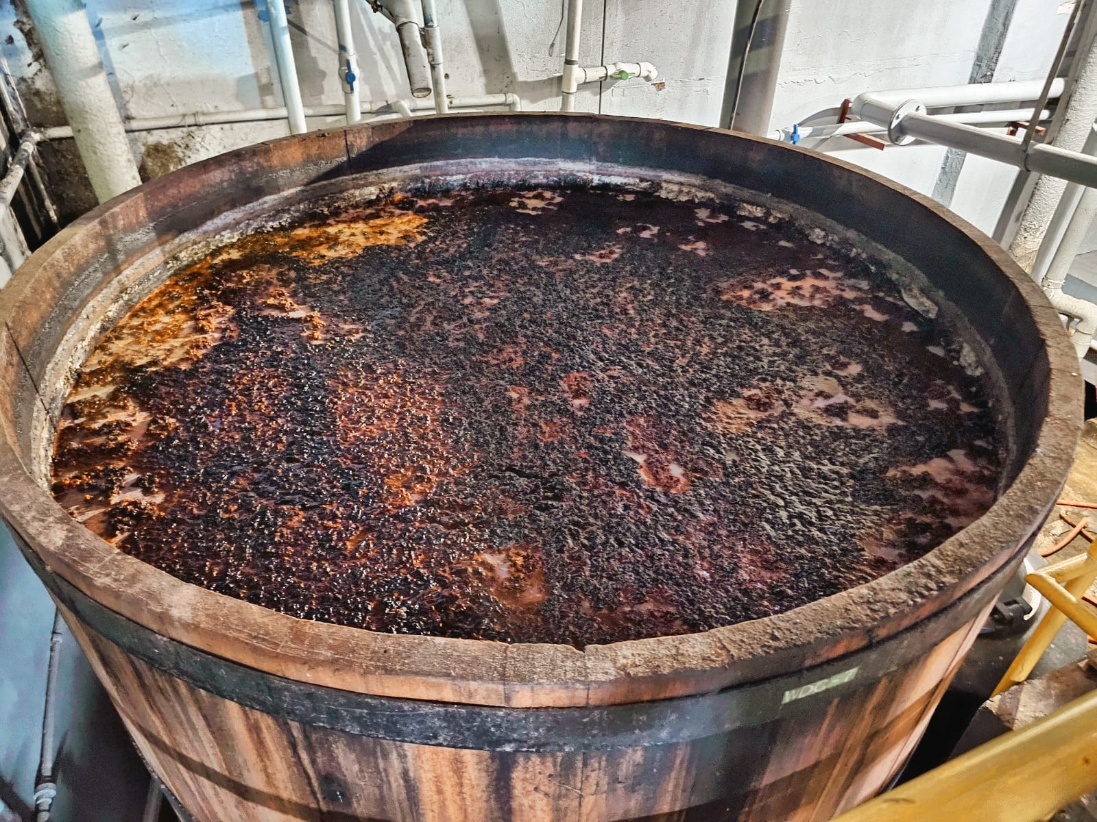 Visit to West Indies Rum Distillery (WIRD) - by Olivier R