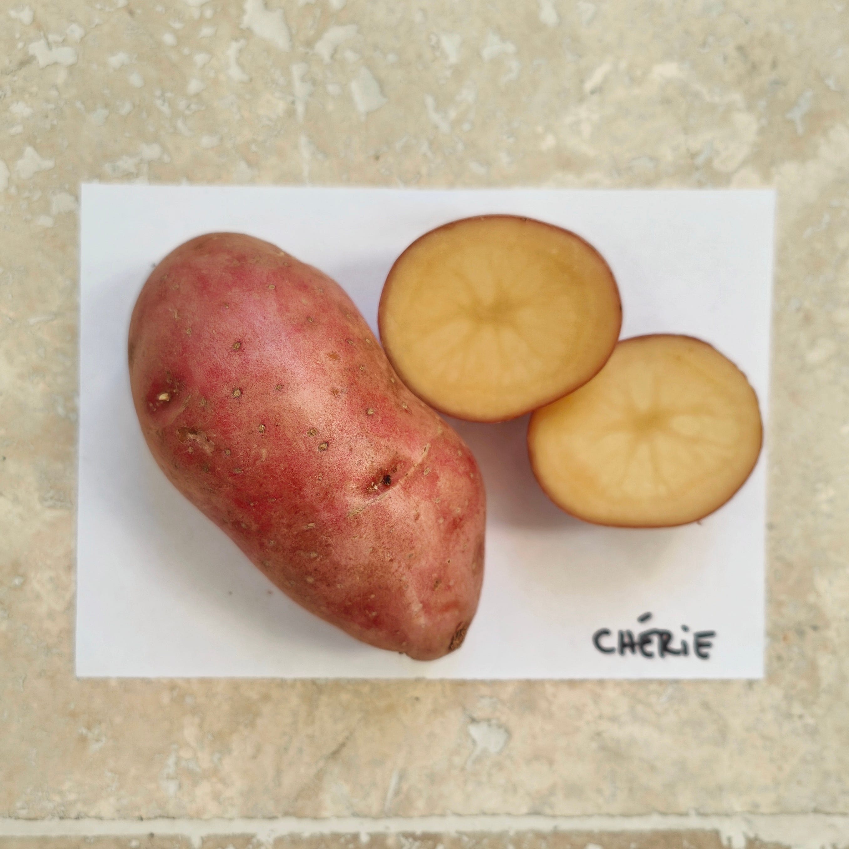 PATATE - Cuisine Playground - Simon Auscher