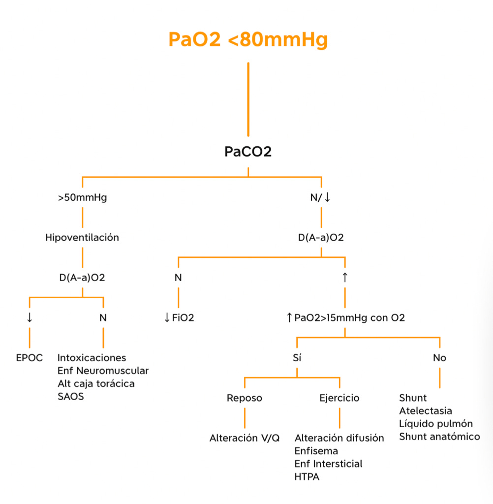 ¿Sabes interpretar una gasometría? - Los Apuntes de Cris