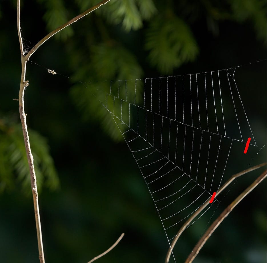 Cutting Strings - sleepydude’s Substack