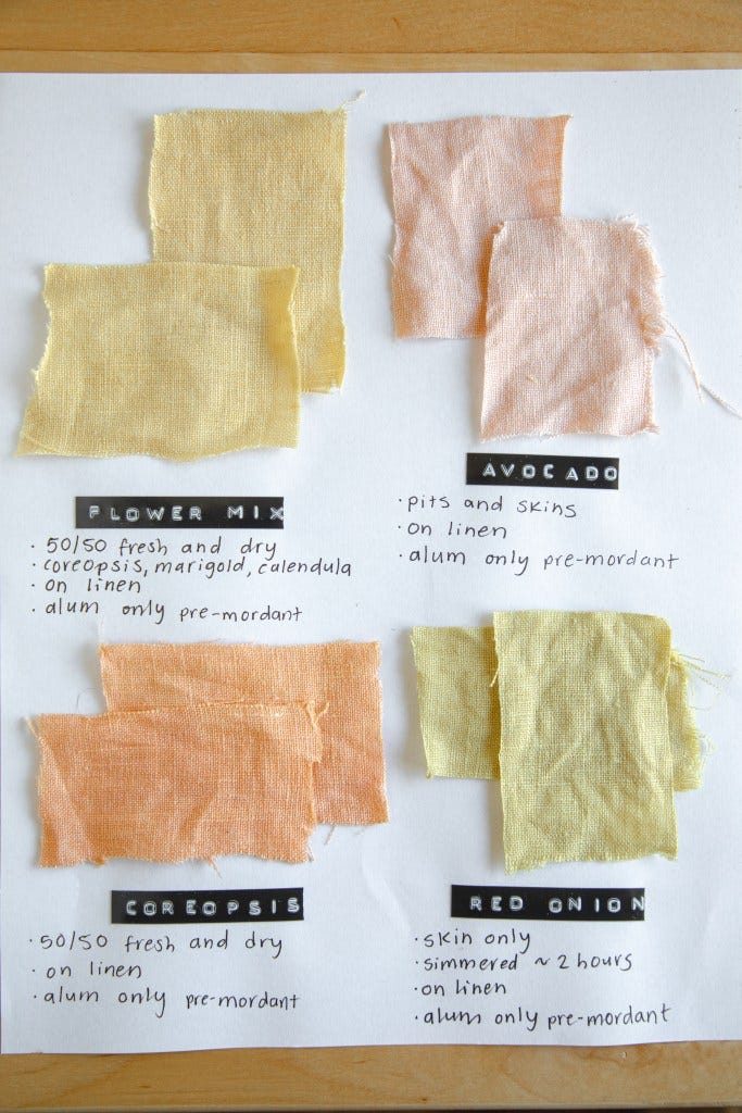 Discovering the Magic of Natural Dyes: A Beginner's Guide