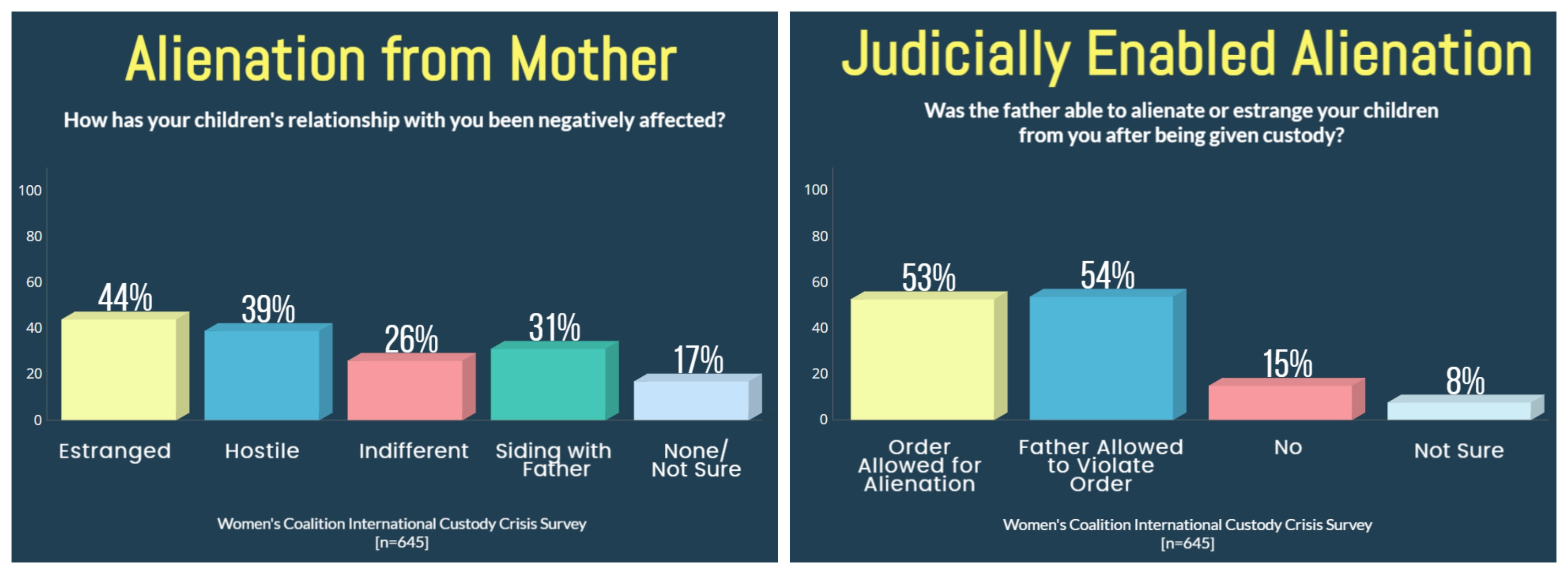 Tribute to Alienated Mothers on Mother's Day