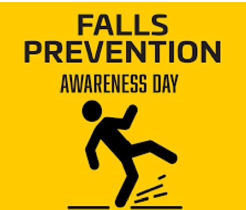 Today is Falls Prevention Awareness Day - by Barry R. Davis