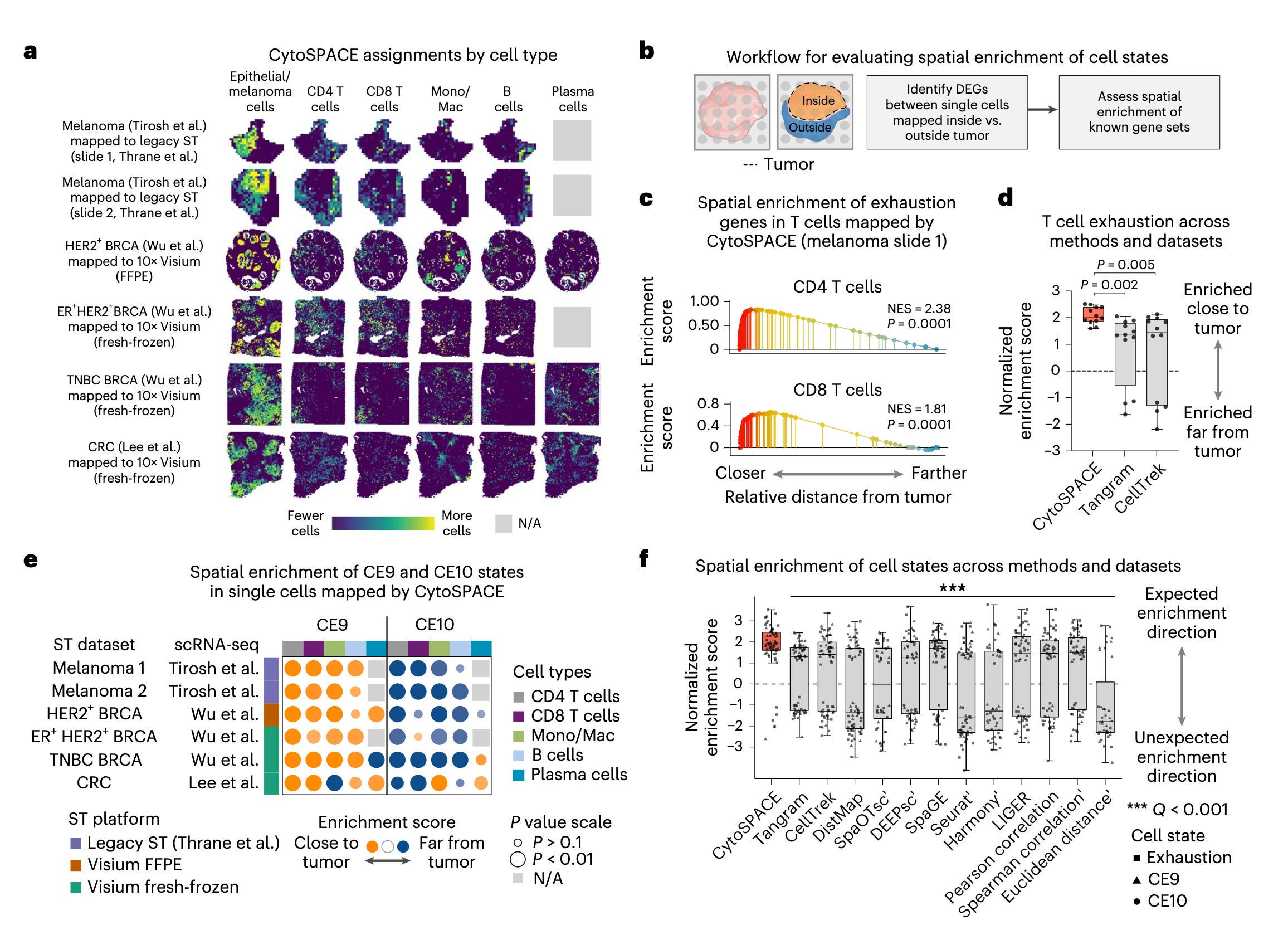Single-Cell Spatial Biology with CytoSPACE Method