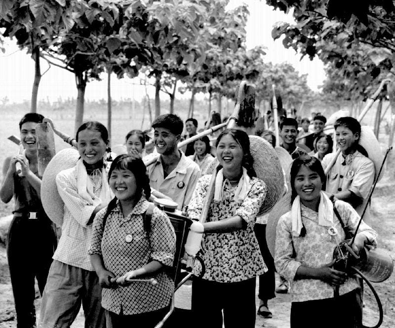 The Cultural Transmission of Ambition: How China's Sent-Down Youth ...