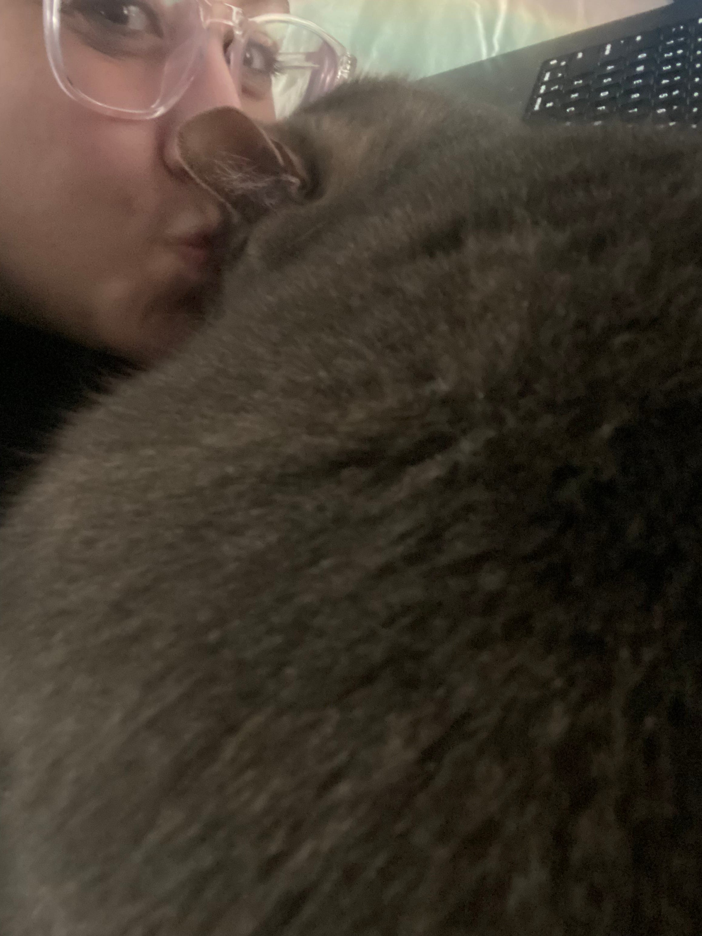 46. The Week in Me - by Tara Giancaspro