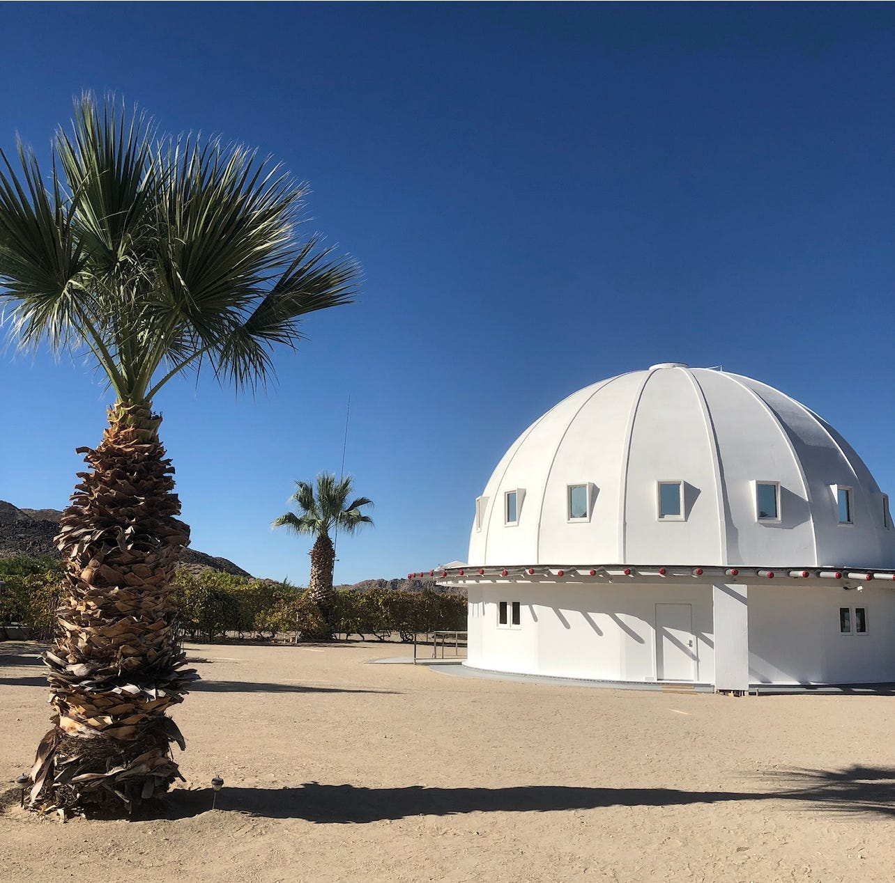 Wander: Joshua Tree, California - by Wanda Weller